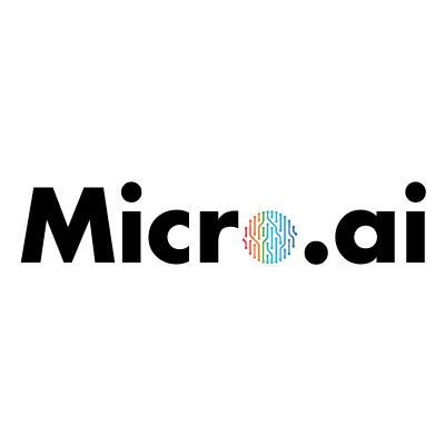 Edge and Embedded AI for IT and OT Asset Optimization
